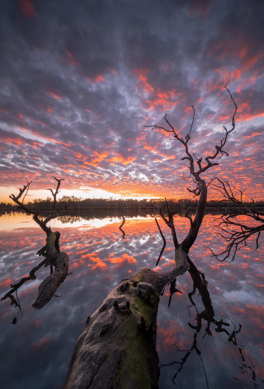 Landscape – Kane Artie Photography